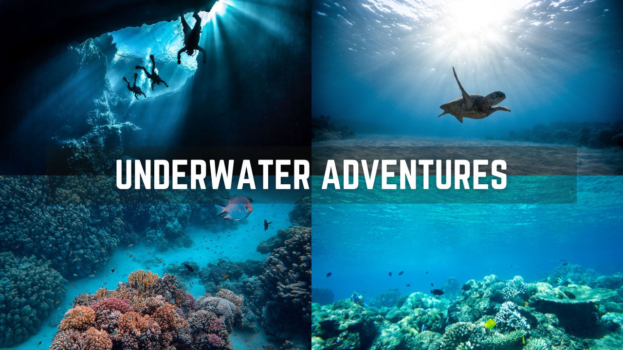 360° Underwater Adventures